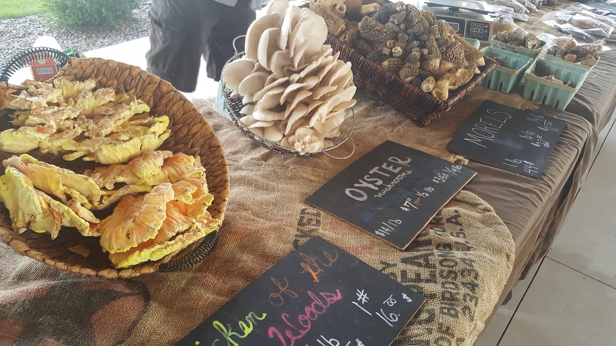 Food & Drinks | Visit Escanaba