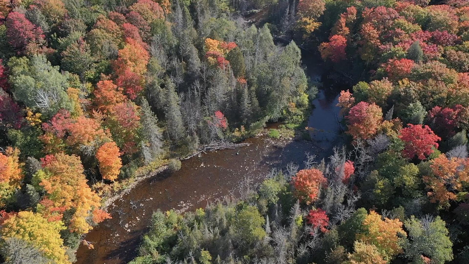 Home | Visit Escanaba